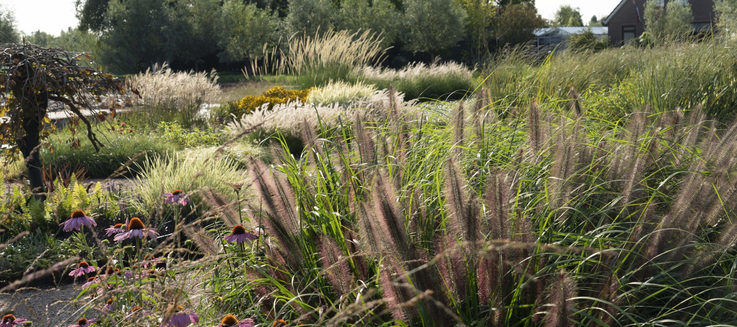 Perfect Garden - Perfect Garden